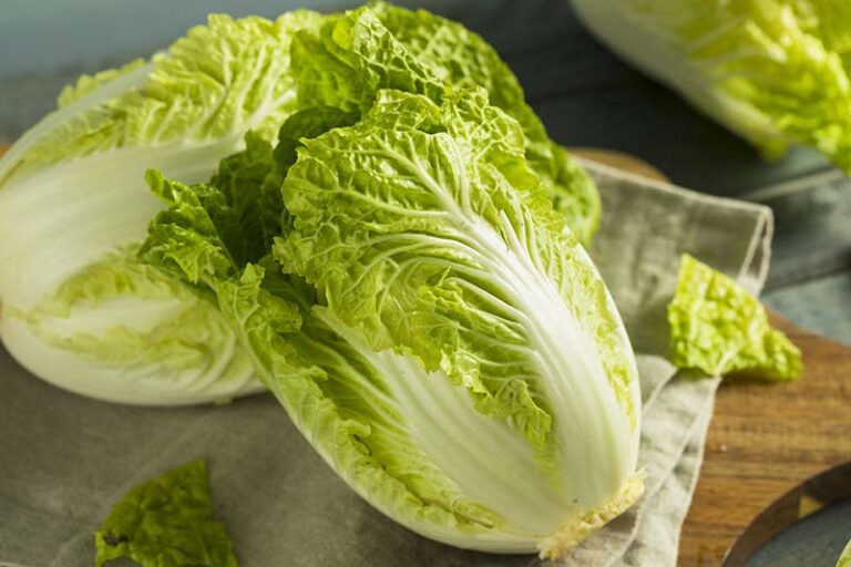 How to Grow Napa Cabbage | Gardener’s Path