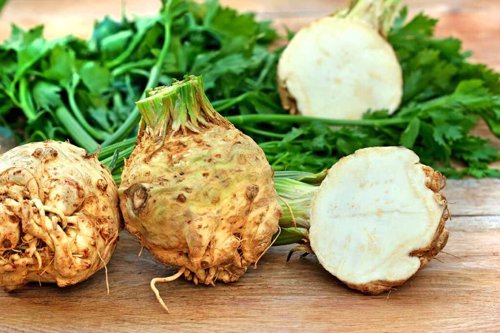 How to Grow Celeriac (Celery Root) | Gardener’s Path