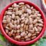 How to Plant and Grow Pinto Beans | Gardener’s Path
