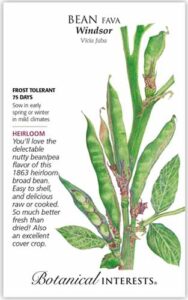 13 Different Types of Edible Beans for the Garden