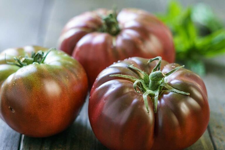 How to Grow Sweeter Tomatoes in Your Garden | Gardener’s Path
