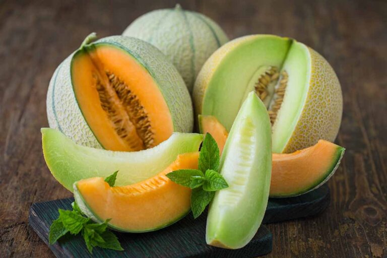 How to Plant and Grow Muskmelons | Gardener’s Path
