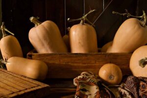 How to Plant and Grow Butternut Squash | Gardener’s Path