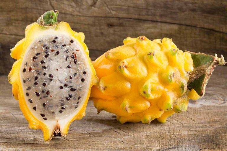 How to Grow Your Own Dragon Fruit (Pitaya) | Gardener’s Path