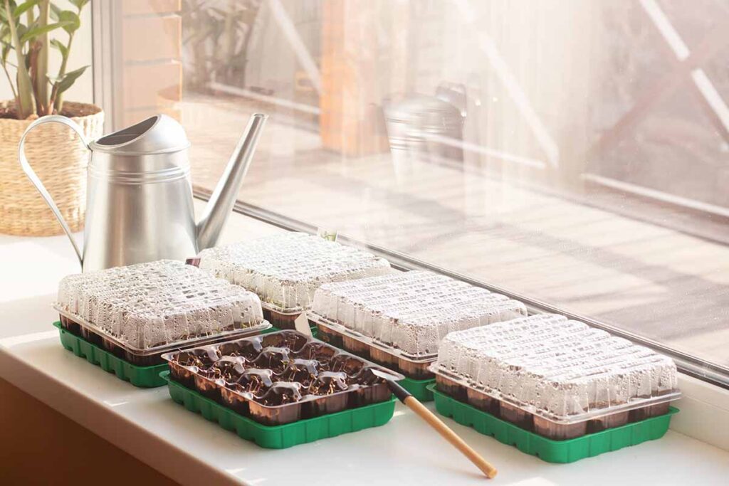 How to Create a Mini Indoor Greenhouse Garden | Gardener’s Path
