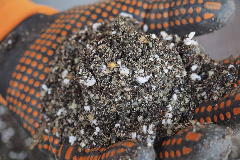 How to Make Your Own Potting Soil for Succulents