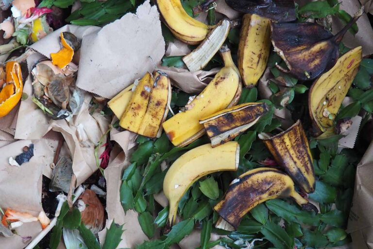 4 Easy Ways to Compost Banana Peels | Gardener’s Path