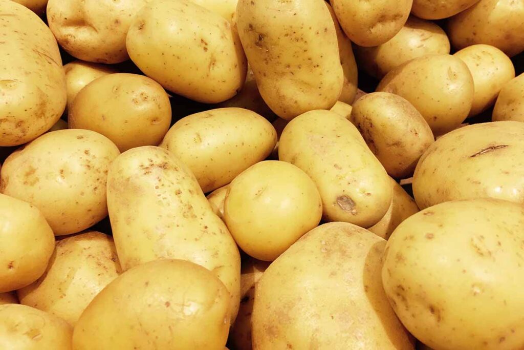 The Best 11 Potato Varieties to Grow at Home | Gardener’s Path