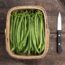 How to Plant and Grow Pole Beans | Gardener’s Path