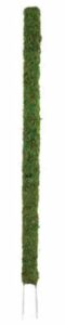 11 of the Best Moss Poles for Monstera and Other Epiphytes