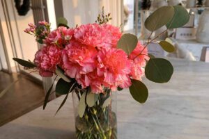 How to Grow and Care for Carnations | Gardener’s Path