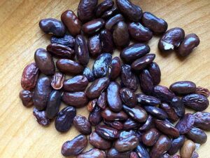15 of the Best Types of Pole Beans | Gardener’s Path
