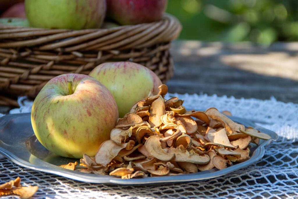 How to Dehydrate Homegrown Produce for Long-Term Storage