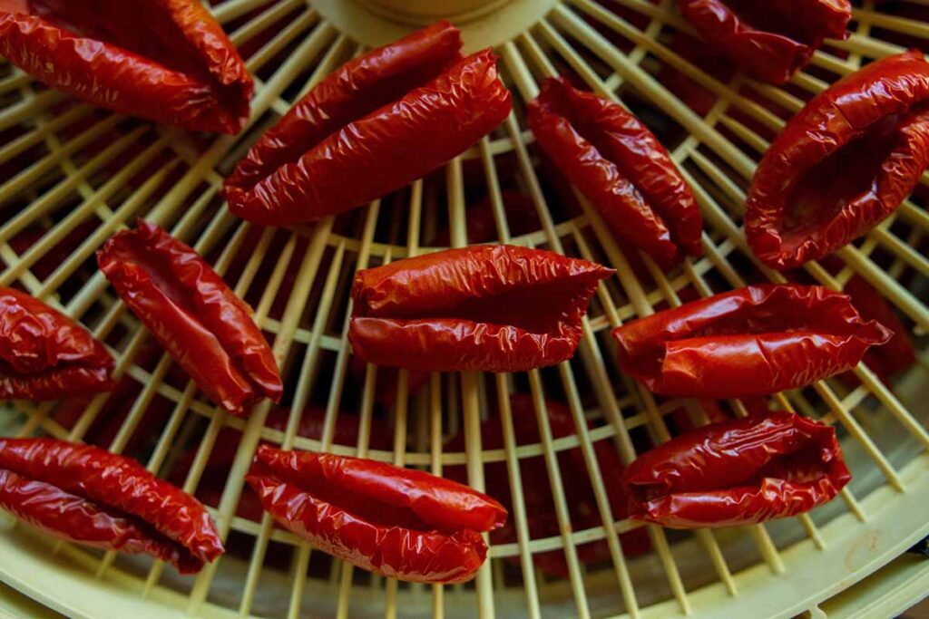 How to Dehydrate Homegrown Produce for Long-Term Storage