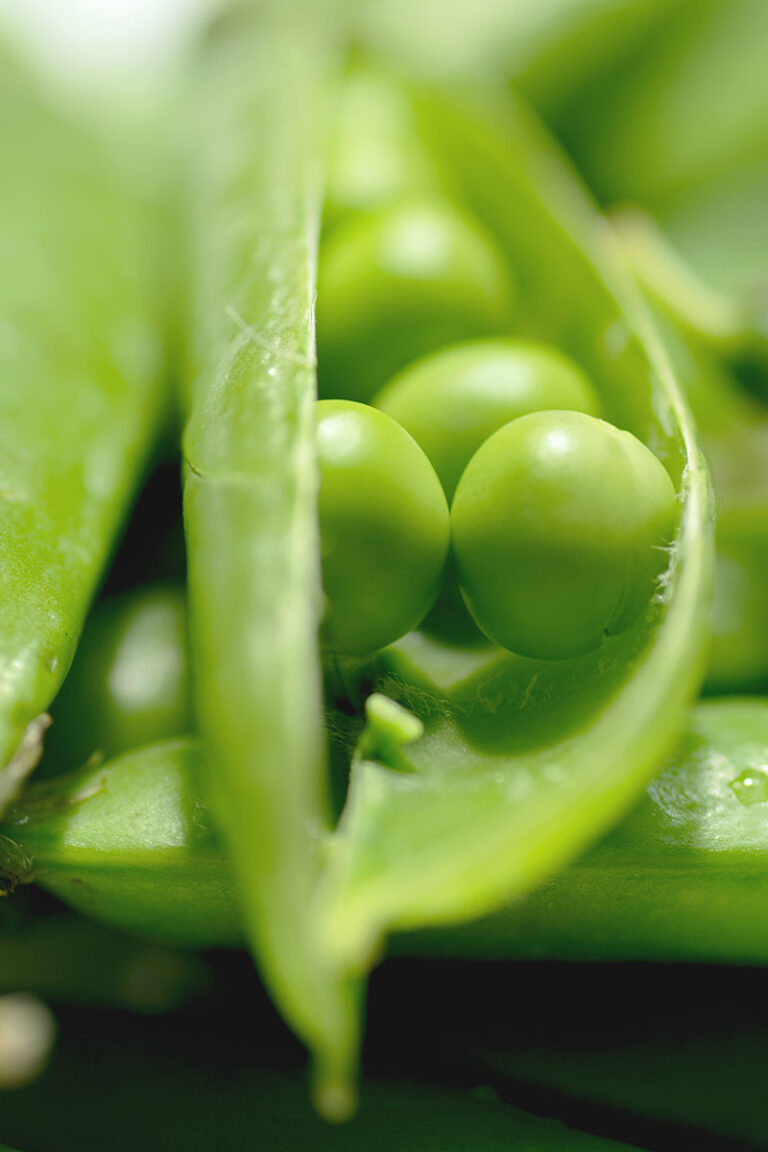 How to Plant and Grow Peas | Gardener’s Path