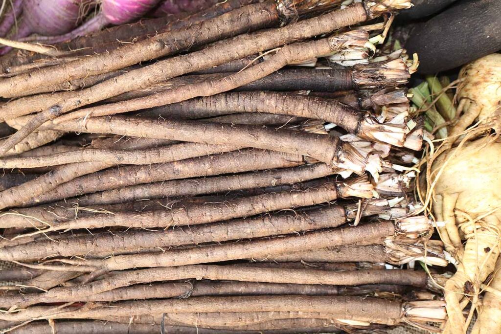 How to Plant and Grow Salsify | Gardener’s Path