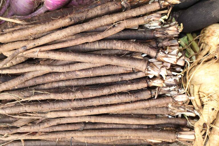 How to Plant and Grow Salsify | Gardener’s Path