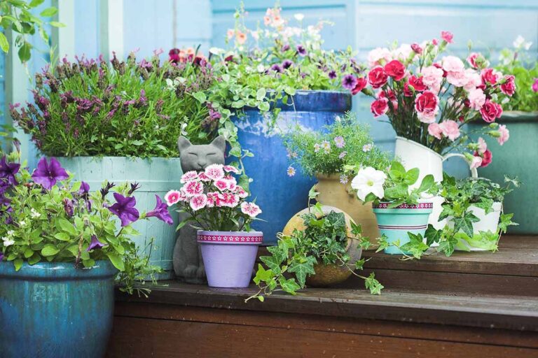 Containers, Pots, and Planters: What Material Is Best?