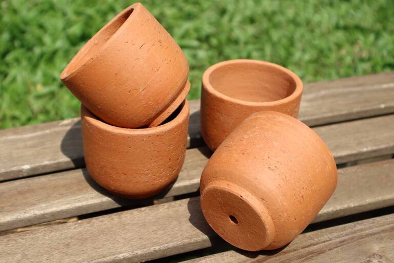 Containers, Pots, and Planters: What Material Is Best?