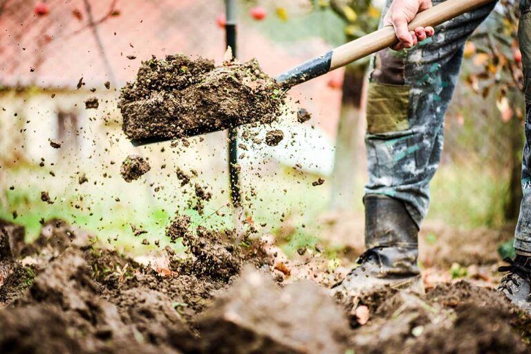 How to Prepare Your Garden for Spring Growing | Gardener’s Path