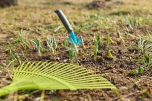 Your Spring Garden Checklist to Start the Season Strong
