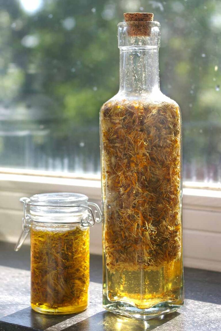 How to Plant and Grow Arnica | Gardener’s Path