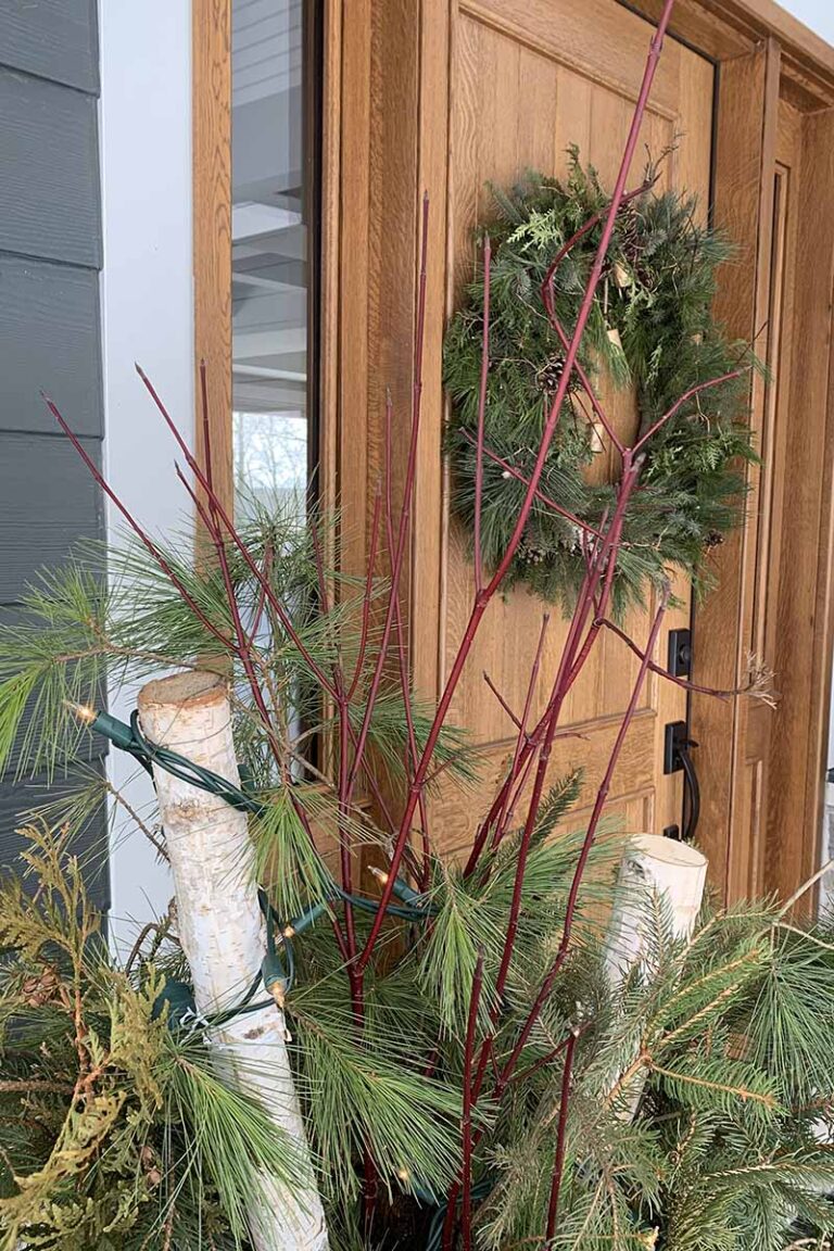 How to Grow and Care For Red Twig Dogwood | Gardener’s Path