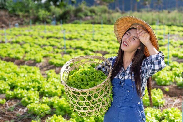 The Best Sun-Protective Gear for Gardeners | Gardener’s Path