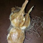 How to Identify and Control 7 Garlic Diseases | Gardener's Path