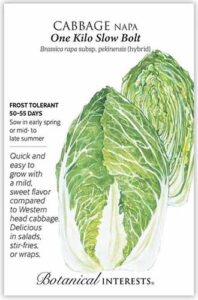 Tips for Growing Cabbage in Containers | Gardener’s Path
