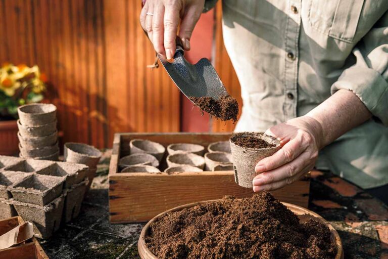 11 Must-Have Supplies for Starting Seeds | Gardener’s Path