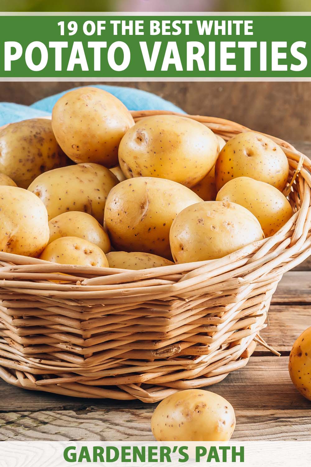 19 of the Best White Potato Varieties to Grow at Home