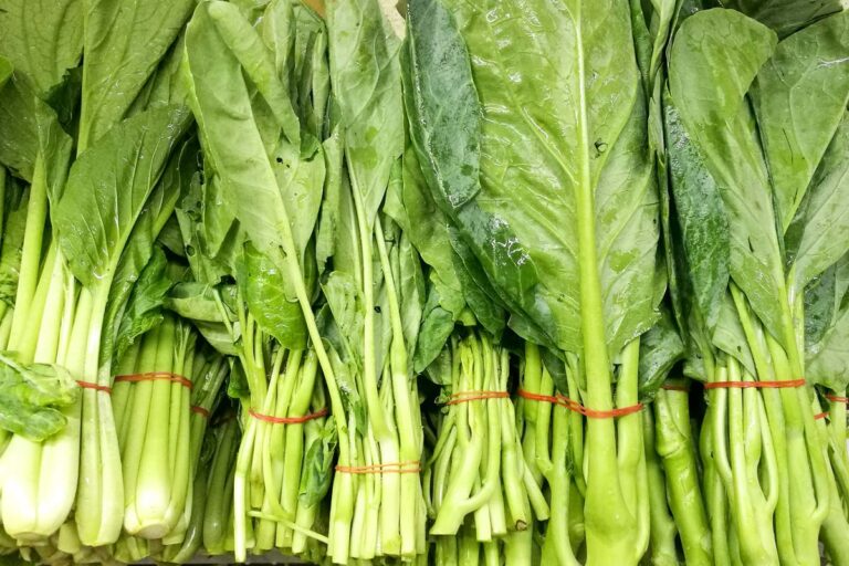How to Grow Chinese Broccoli | Gardener’s Path