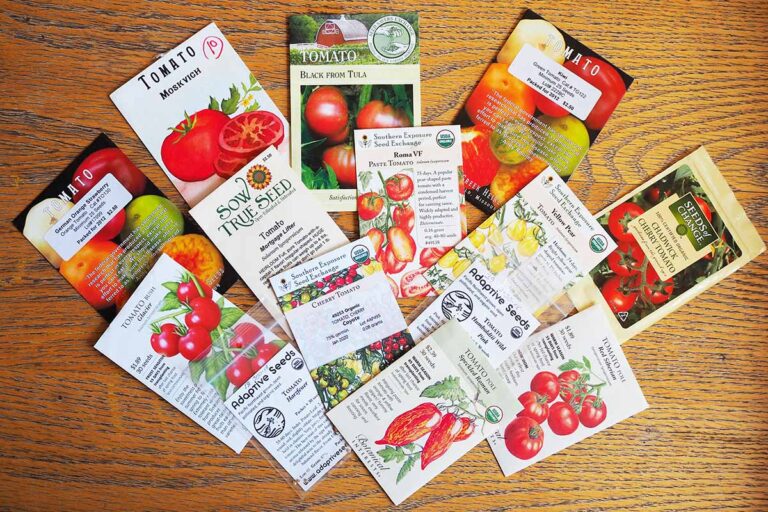 11 Must-Have Supplies for Starting Seeds | Gardener’s Path