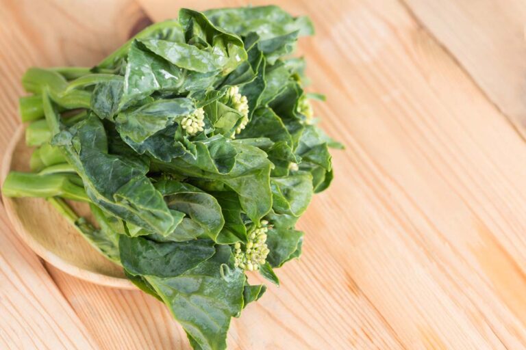 How to Grow Chinese Broccoli | Gardener’s Path