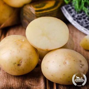 19 of the Best White Potato Varieties to Grow at Home