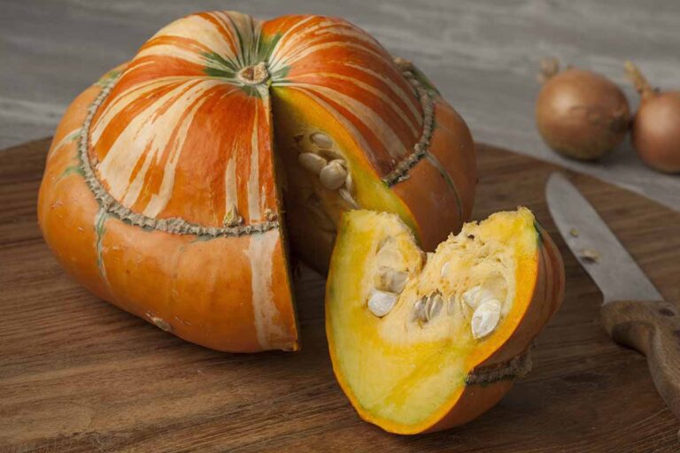 How to Plant and Grow Turban Squash