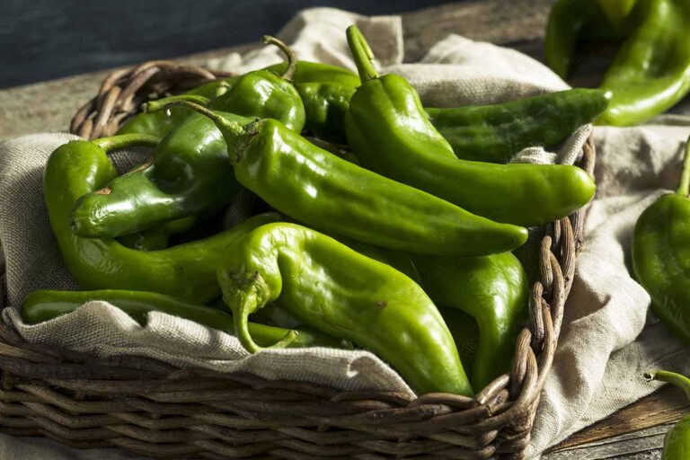 Tips for Growing Hatch Peppers | Gardener’s Path