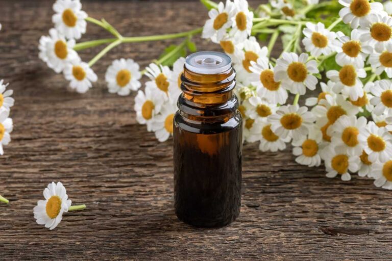 How to Plant and Grow Feverfew: A Medicinal and Visual Delight