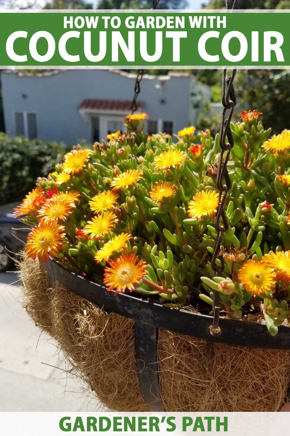 Learn How to Use Coconut Coir Products in the Garden
