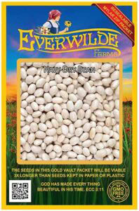 How to Plant and Grow Navy (Boston) Beans | Gardener’s Path
