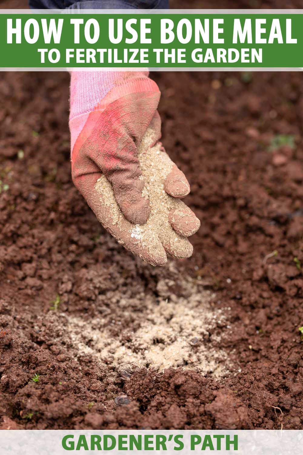 Bone Meal: When and How To Use It as a Soil Supplement