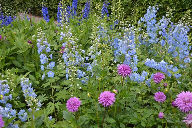 How to Design a Perennial Garden | Gardener’s Path