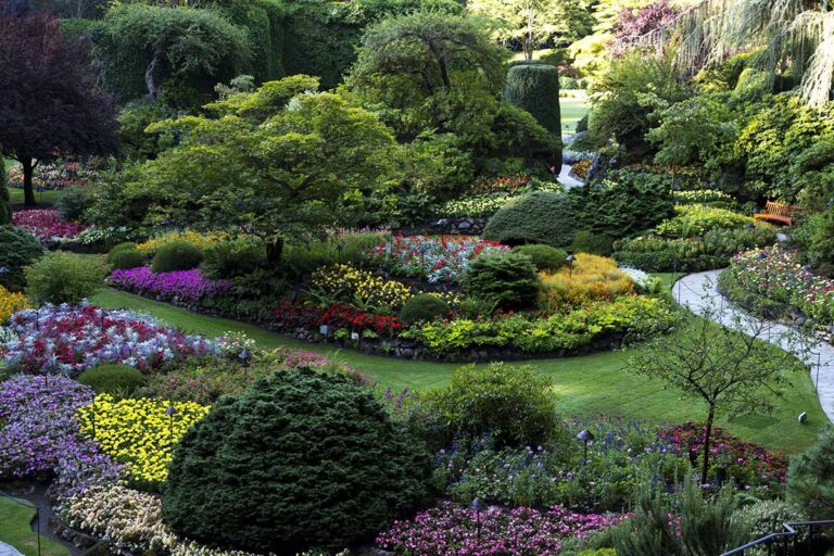 21 of the Best Flowers for Mass Planting | Gardener’s Path