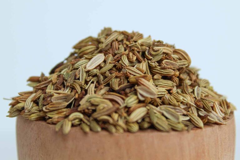 When and How to Harvest Anise Seeds | Gardener’s Path