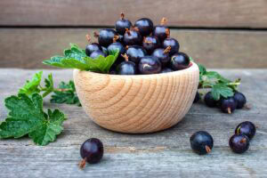 How to Plant and Grow Jostaberries | Gardener’s Path