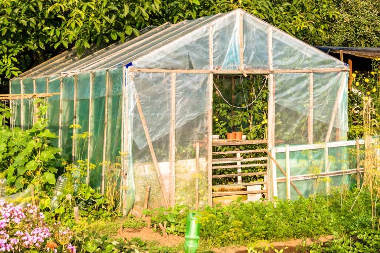 How to Use Shade Cloth in the Greenhouse | Gardener’s Path