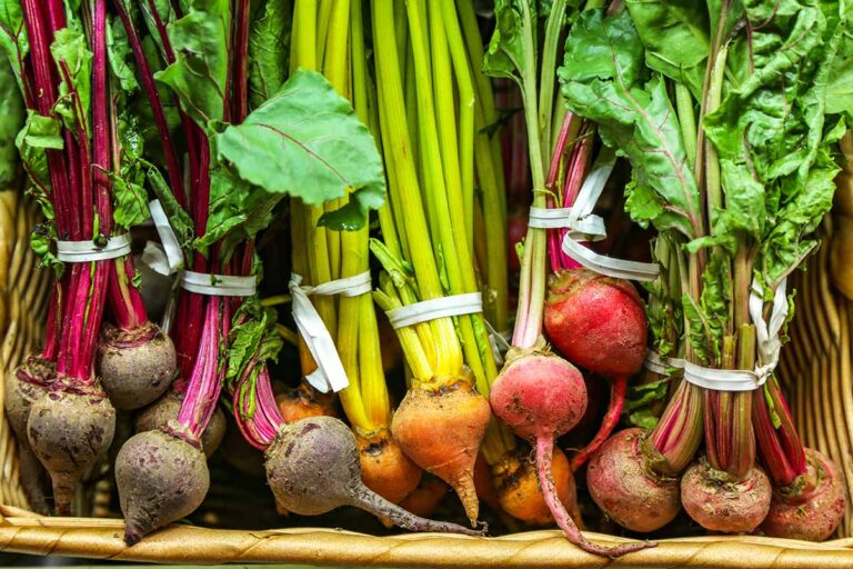 27 of the Best Beet Varieties to Grow at Home | Gardener's Path