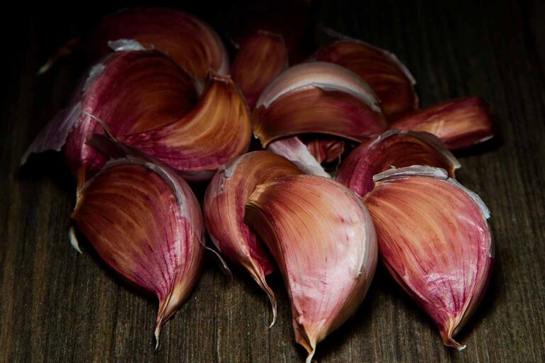 10 Garlic Families to Know About for the Garden | Gardener’s Path