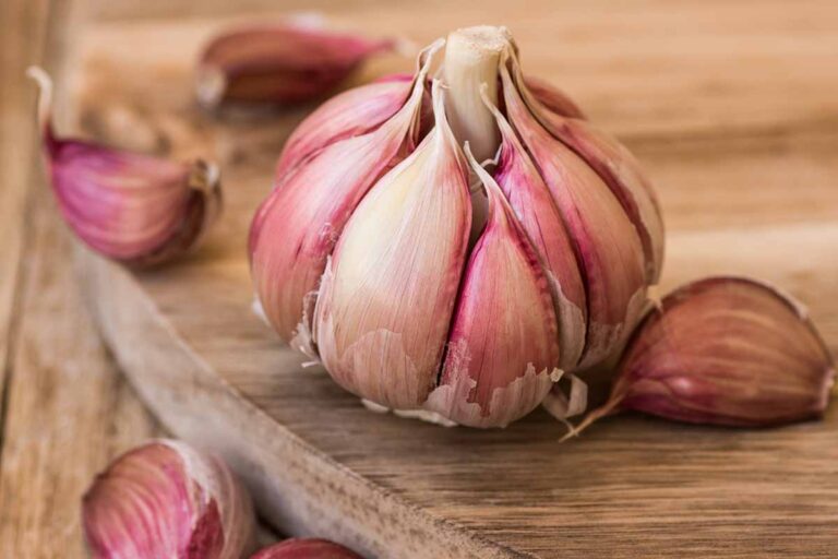 10 Garlic Families to Know About for the Garden | Gardener’s Path